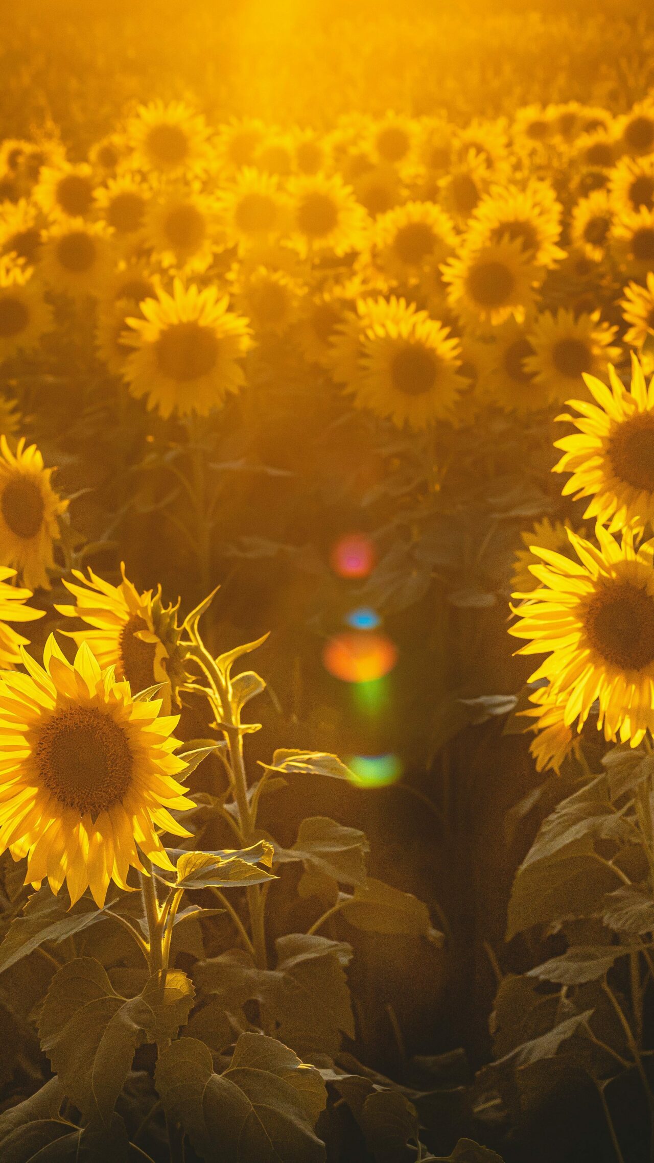 Start | Birgit Schreiber